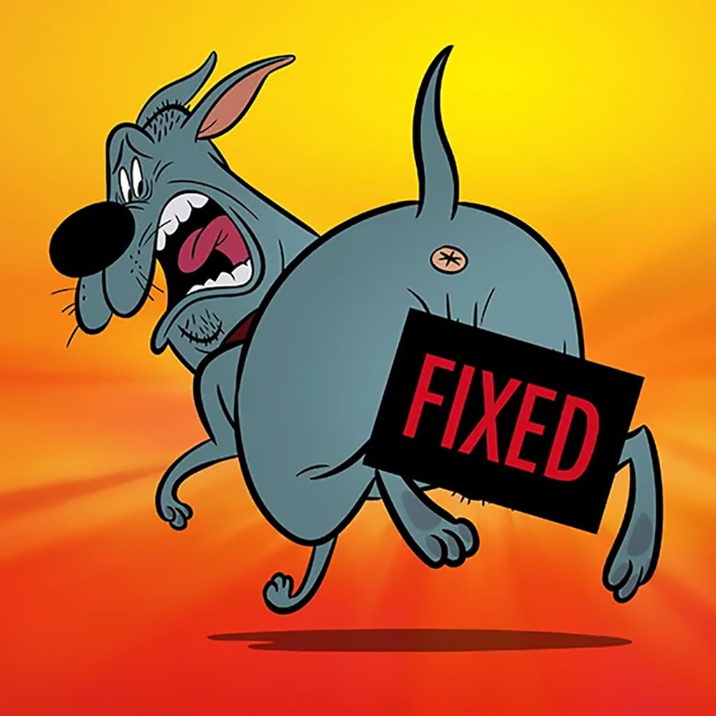 فيلم Fixed (2025) - Falcon Pro